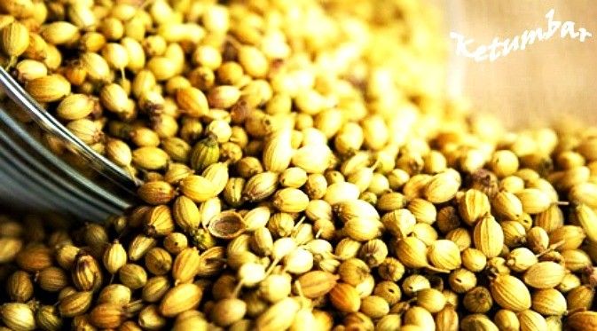 Manfaat Ketumbar untuk Kesehatan Saat Puasa - KlikDokter