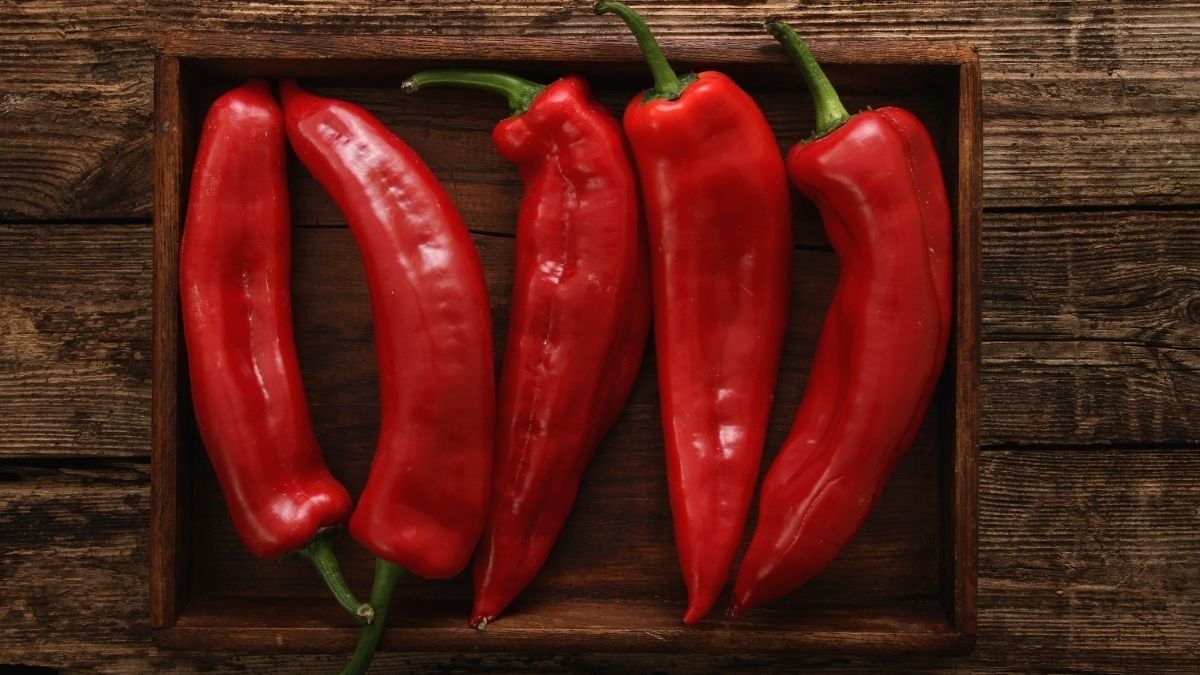 Manfaat Cabai Merah untuk Flu, Benarkah Efektif? - KlikDokter