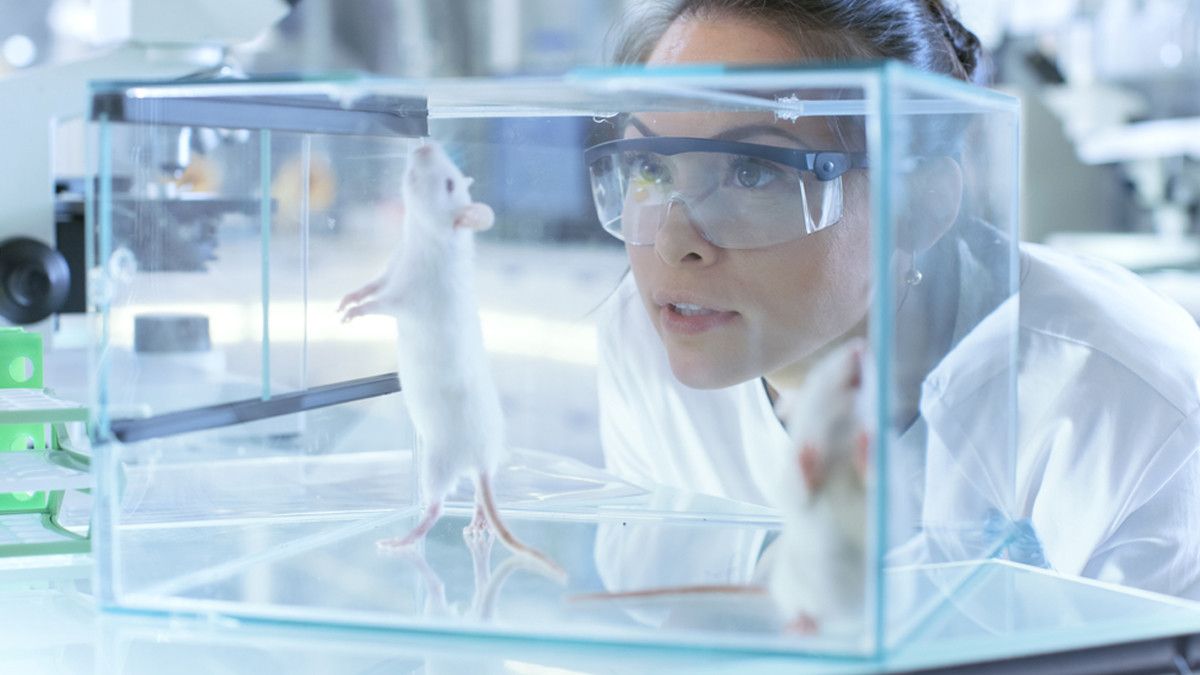 6 Alasan Peneliti Selalu Pakai Tikus untuk Penelitian - KlikDokter