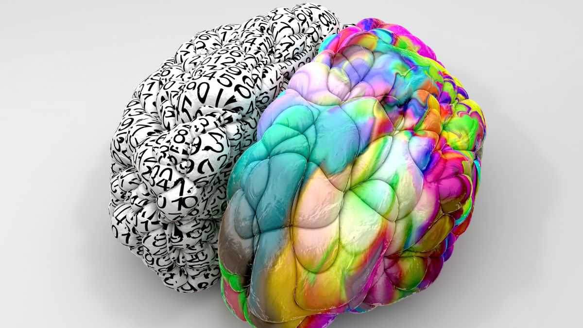 Fungsi Otak Kanan dan Otak Kiri yang Perlu Kamu Tahu - KlikDokter