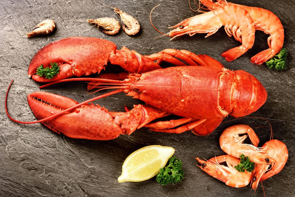 3 Makanan Laut Ini Bantu Atasi Kolesterol Tinggi - KlikDokter