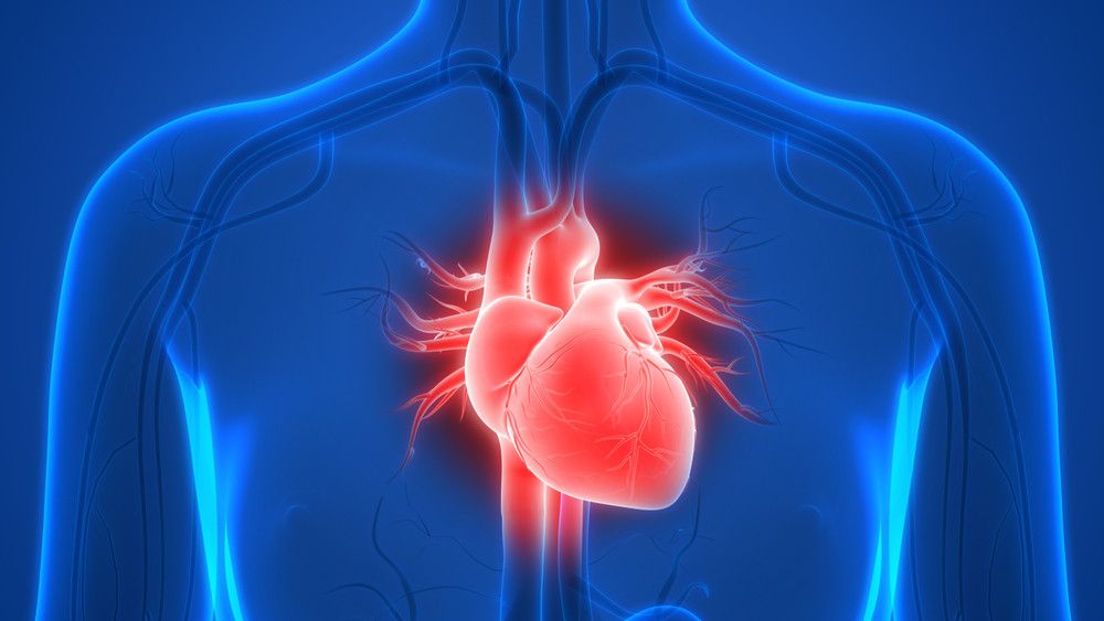 Cardiomin – Manfaat, Dosis, dan Efek Samping - KlikDokter