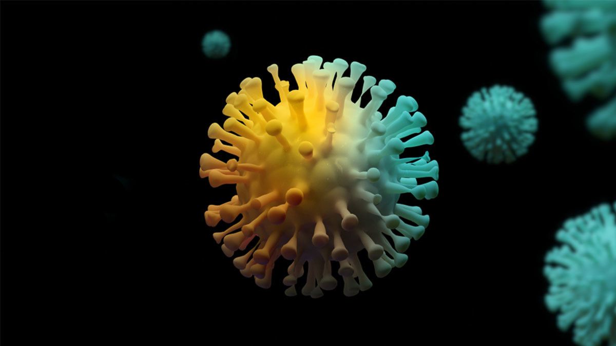 Sekolah yang Masuk Zona Hijau Virus Corona Diperbolehkan Masuk - KlikDokter