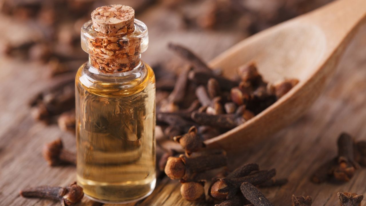 Manfaat Minyak Cengkeh untuk Sakit Gigi yang Perlu Kamu Tahu - KlikDokter