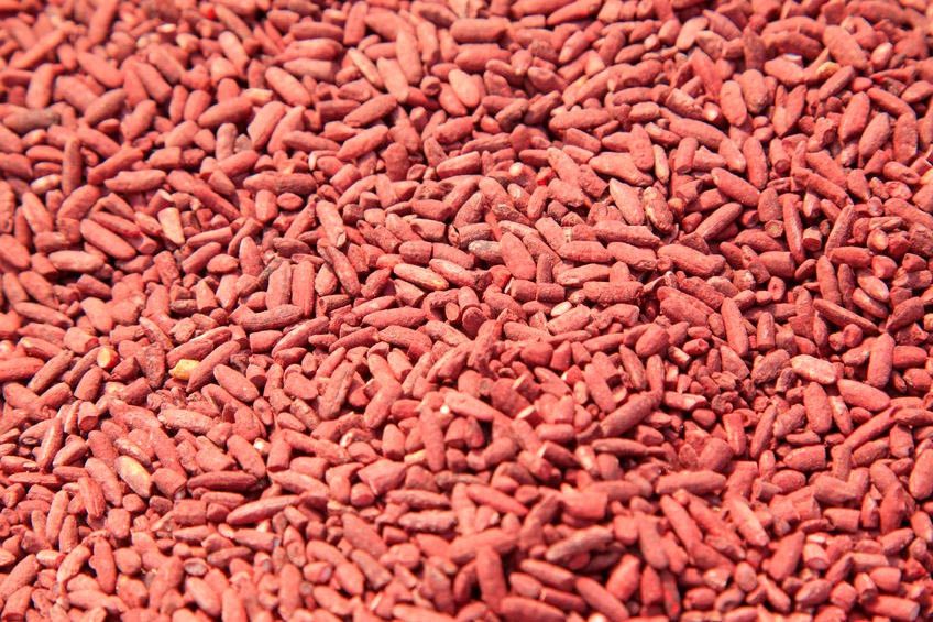 Angkak, Si Merah untuk Demam Berdarah - KlikDokter