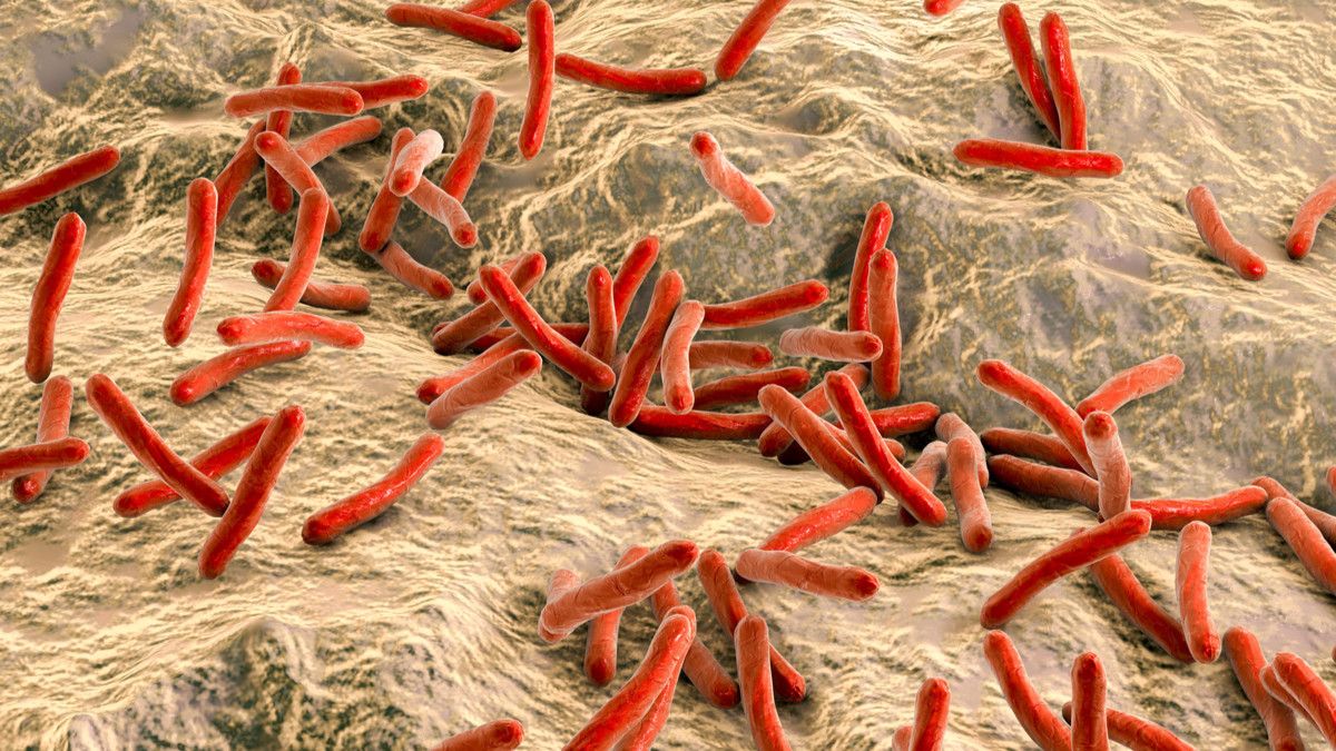 Mengenal Kusta, Penyakit Kulit yang Bisa Sebabkan Kebutaan - KlikDokter