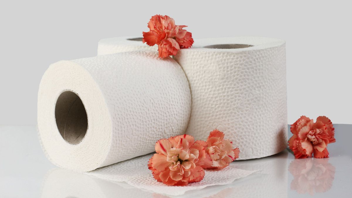 5 Potensi Bahaya Tisu Toilet bagi Organ Kewanitaan - KlikDokter