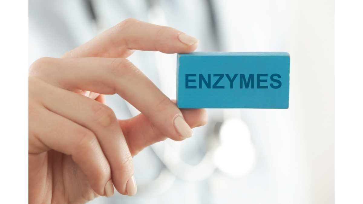 Tipe-Tipe Enzim Pencernaan dan Fungsinya - KlikDokter