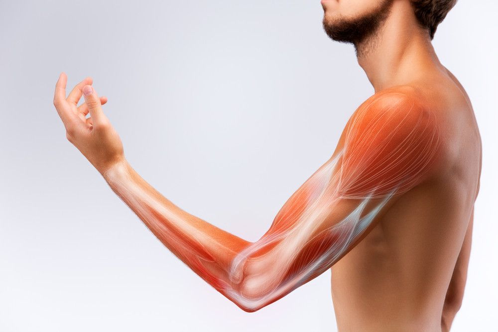 Kenali Otot Polos, Ciri-Ciri, Jenis, Fungsi, dan Letaknya - KlikDokter