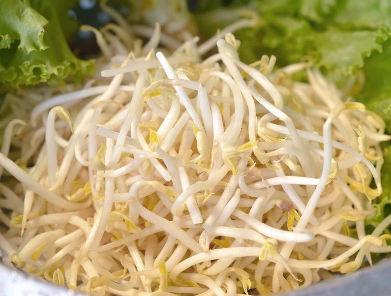 Taoge dapat Meningkatkan Kesuburan, Benarkah? - KlikDokter