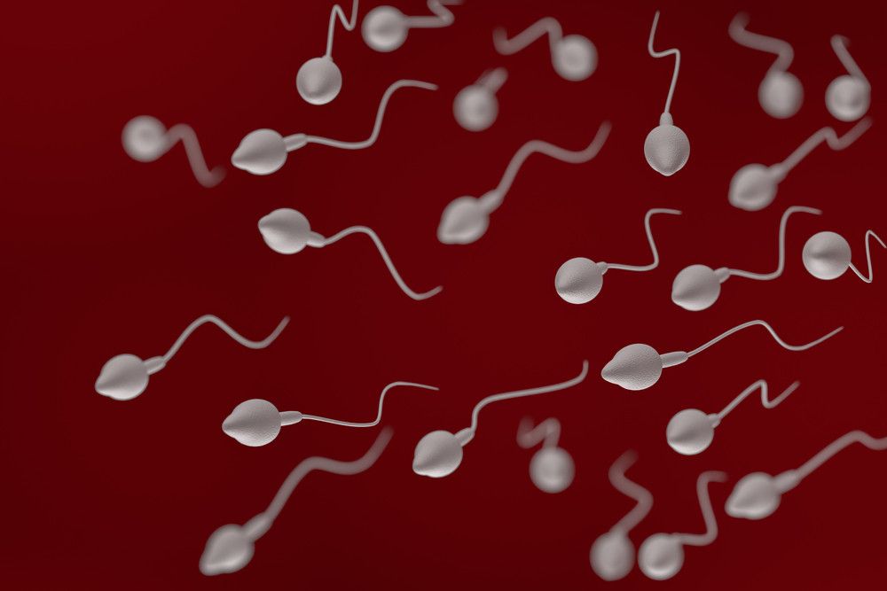 Mitos Sperma Encer Tanda Tak Subur, Benarkah? - KlikDokter