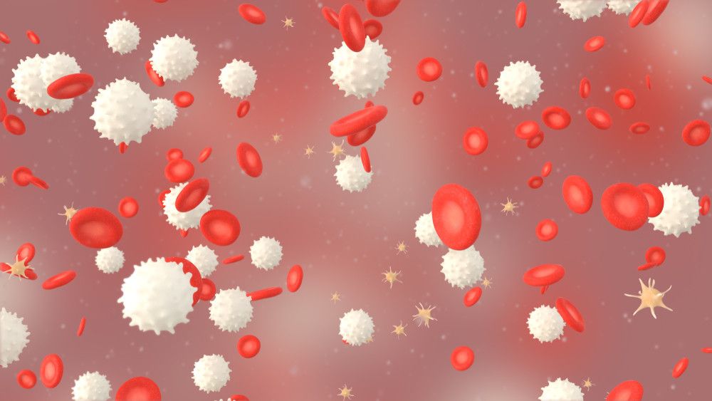 Trombosit Turun Bukan Karena Demam Berdarah Dengue, Apa Sebabnya ...