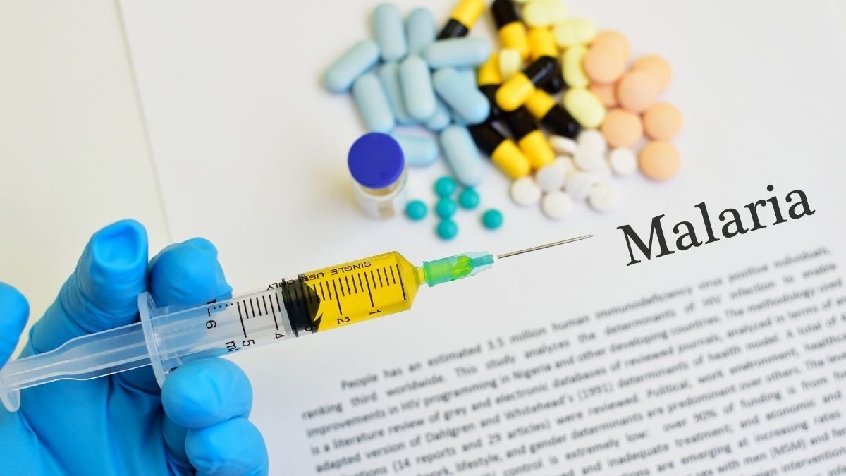 Malaria Cerebral, Saat Komplikasi Malaria Pengaruhi Otak - KlikDokter