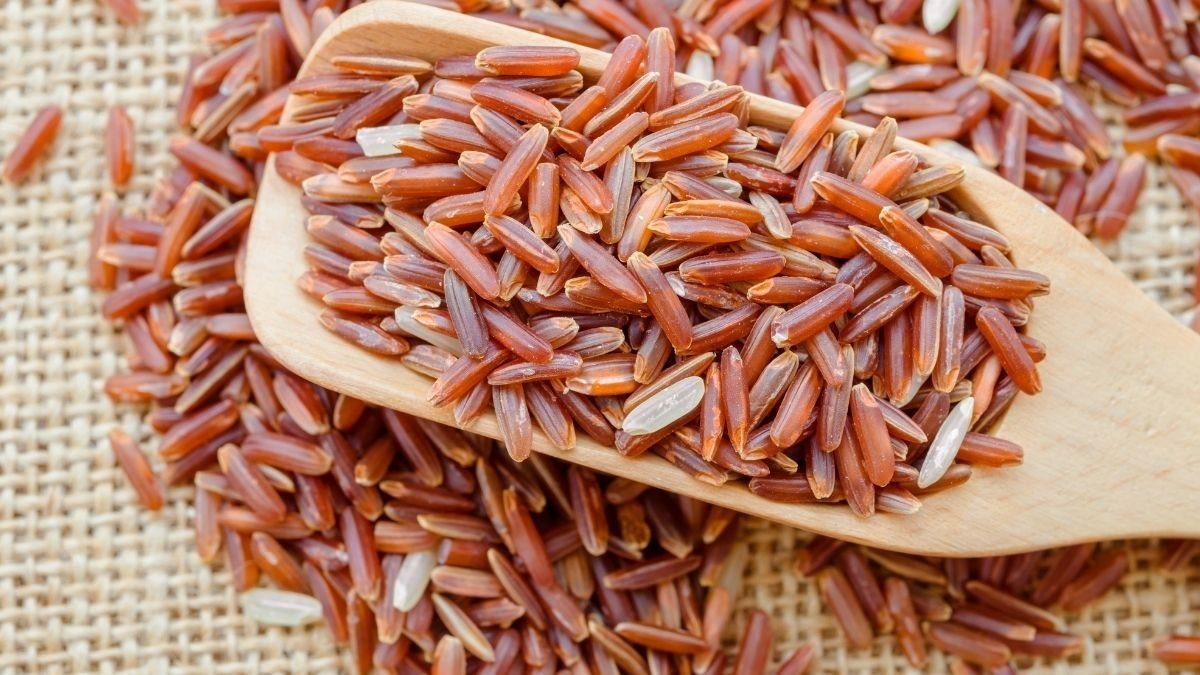 Ini Cara Menyimpan Beras yang Benar Agar Tidak Berkutu - KlikDokter