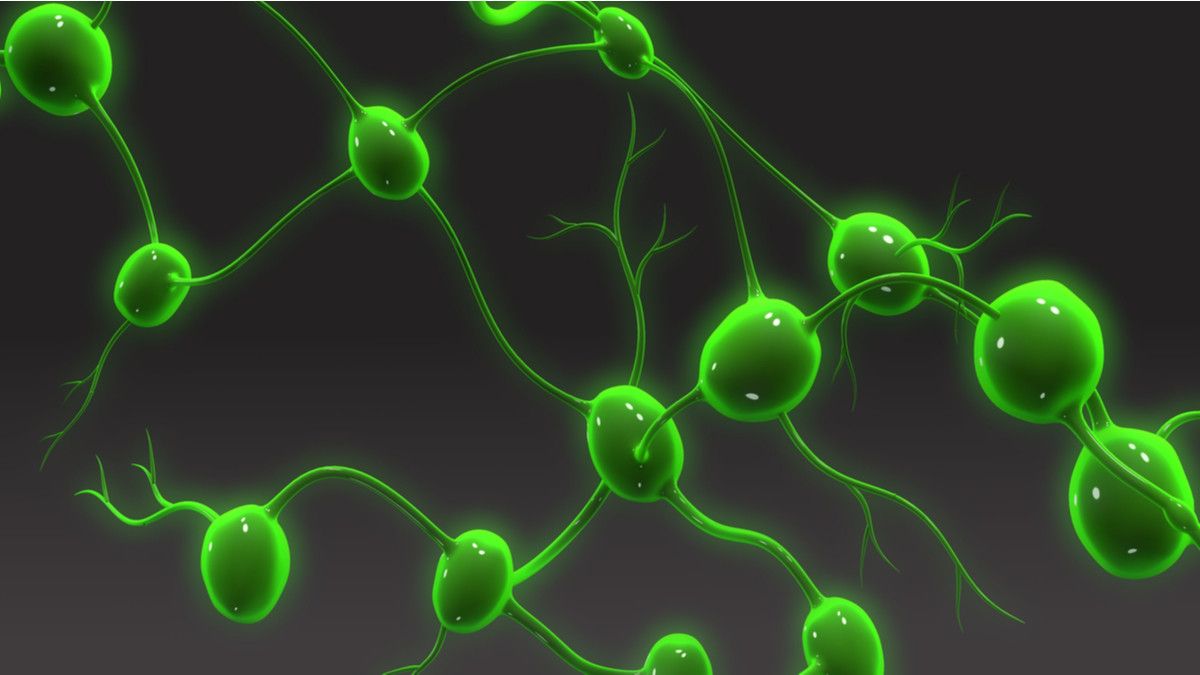 Kanker Kelenjar Getah Bening atau Limfoma Menyerang Siapa Saja ...