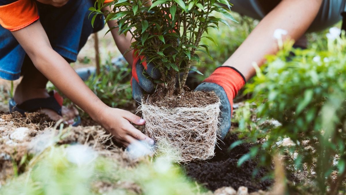 Ini 7 Manfaat Berkebun bagi Kesehatan Anda - KlikDokter