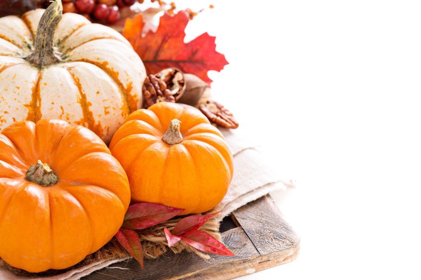 Ini Dia 5 Manfaat Sehat Mengonsumsi Labu - KlikDokter