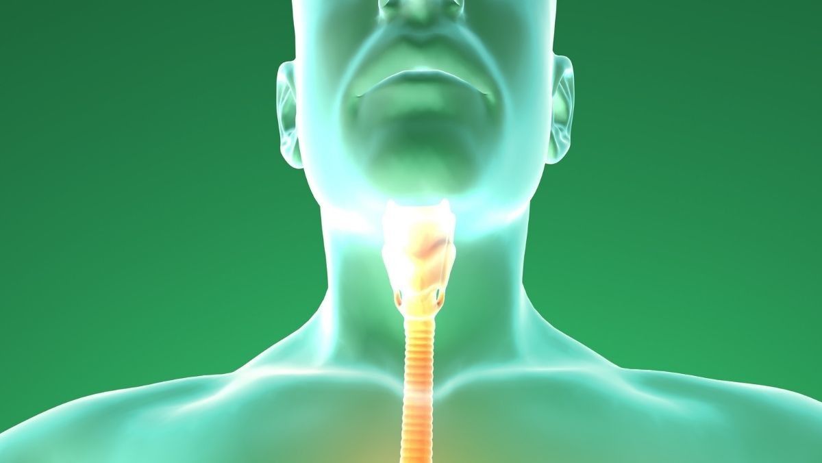Mengenal Deretan Fungsi Faring pada Tubuh Manusia - KlikDokter