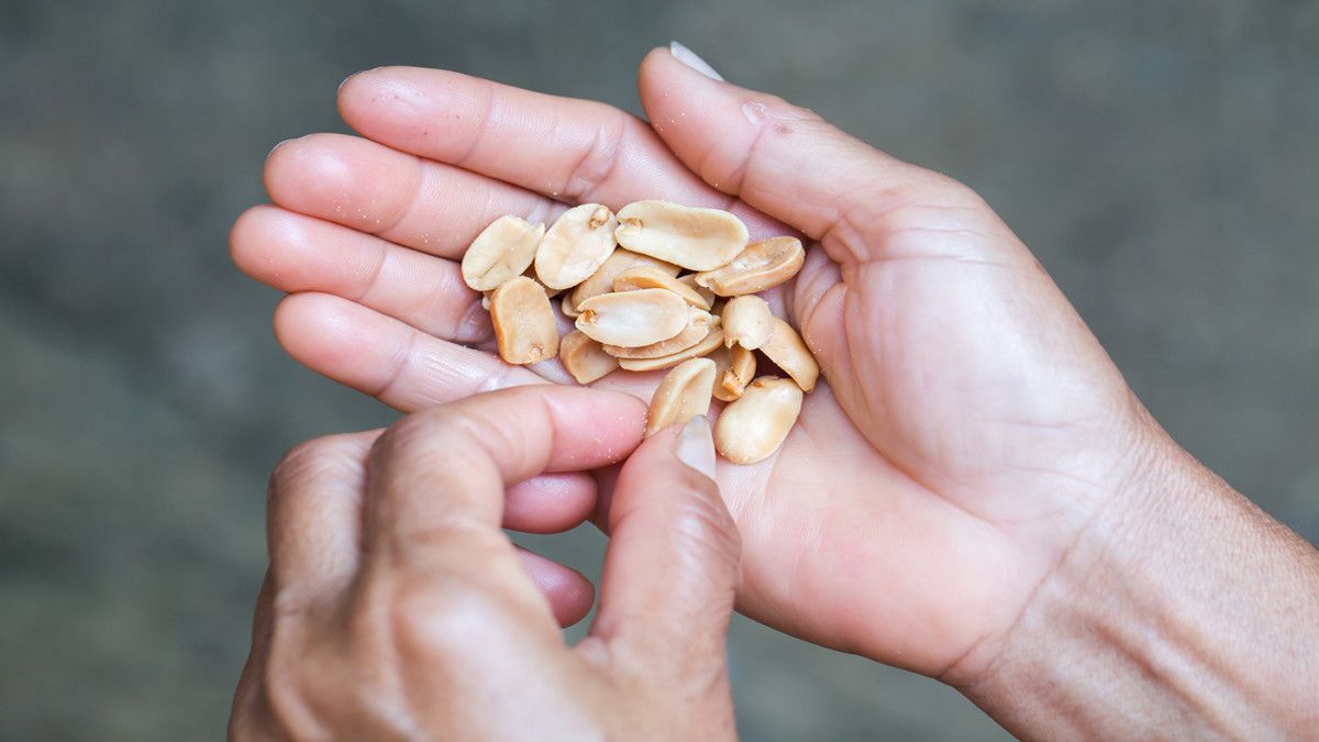Mana yang Lebih Sehat, Kacang Panggang atau Kacang Goreng? - KlikDokter