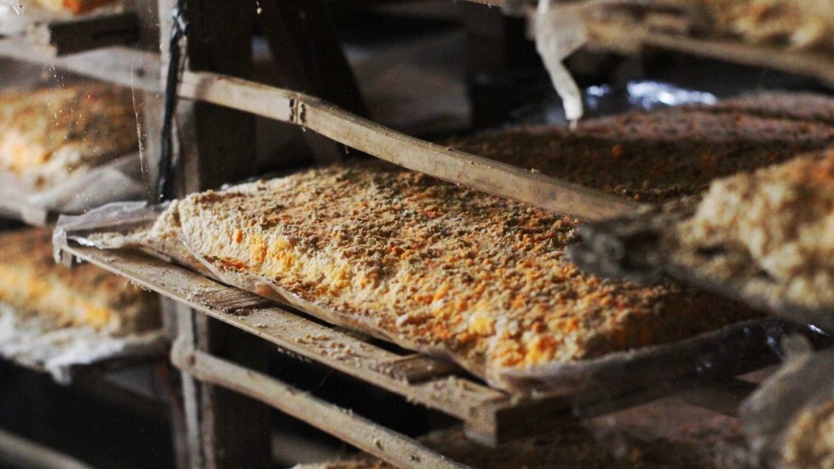 Awas, Makan Oncom Dapat Menimbulkan Efek Samping Serius! - KlikDokter