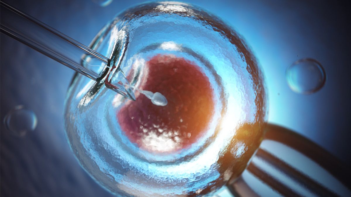 Apa Perbedaan Bayi Tabung dan Inseminasi Buatan? - KlikDokter