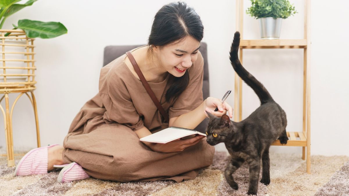 20 Fakta Unik, Menarik, dan Mistis tentang Kucing - KlikDokter