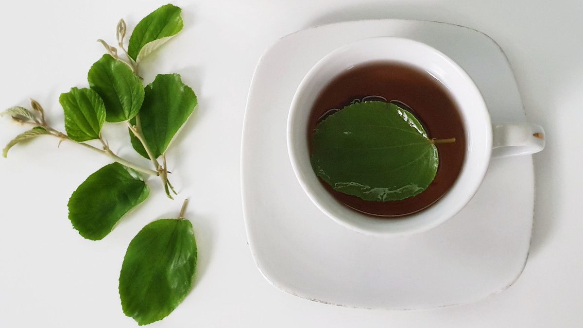 Manfaat Daun Bidara untuk Kesehatan - KlikDokter