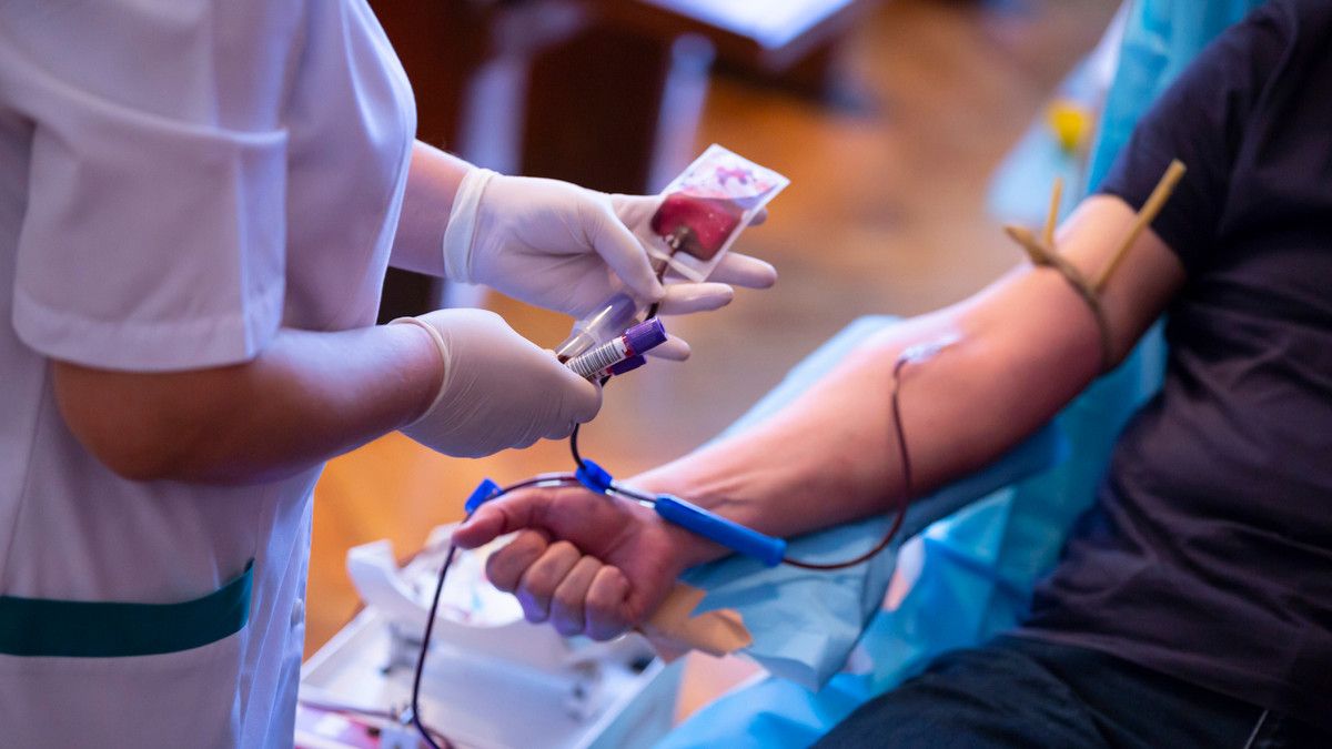 Darah Emas, Golongan Darah Paling Langka di Dunia - KlikDokter