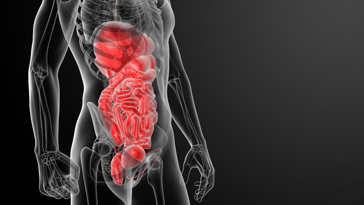 Mengenal Organ Sistem Pencernaan Manusia dan Fungsinya - KlikDokter