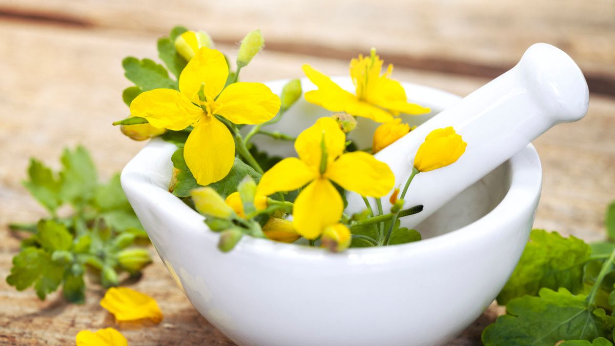 Hati-Hati, Deretan Obat Herbal Ini Bisa Picu Penyakit Hati - KlikDokter