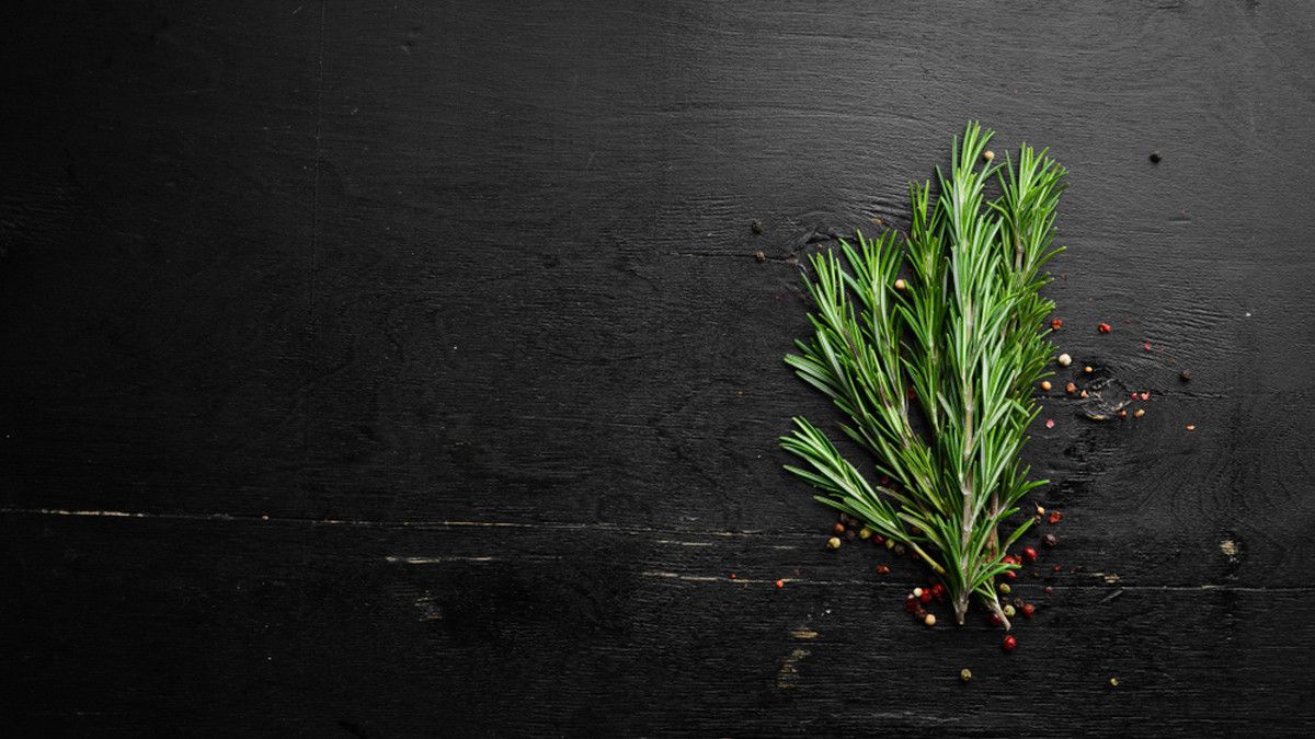 Benarkah Daun Rosemary Bisa Memperbaiki Daya Ingat? - KlikDokter