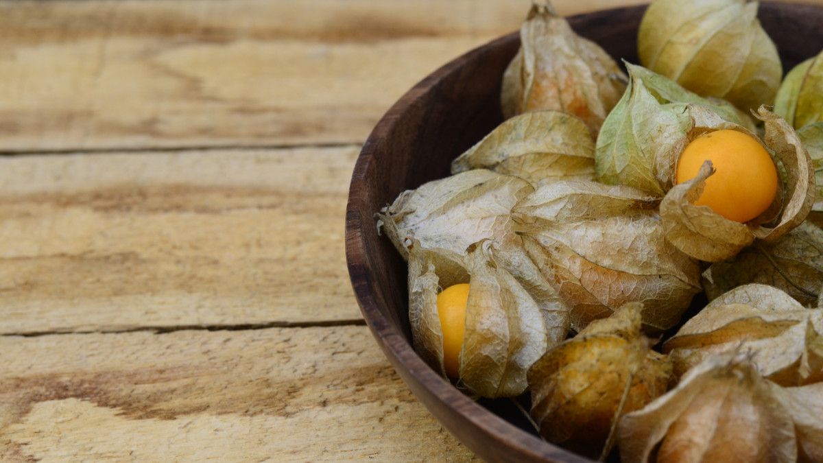 Bahaya Makan Buah Ciplukan bagi Kesehatan - KlikDokter