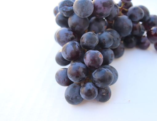 anggur hitam