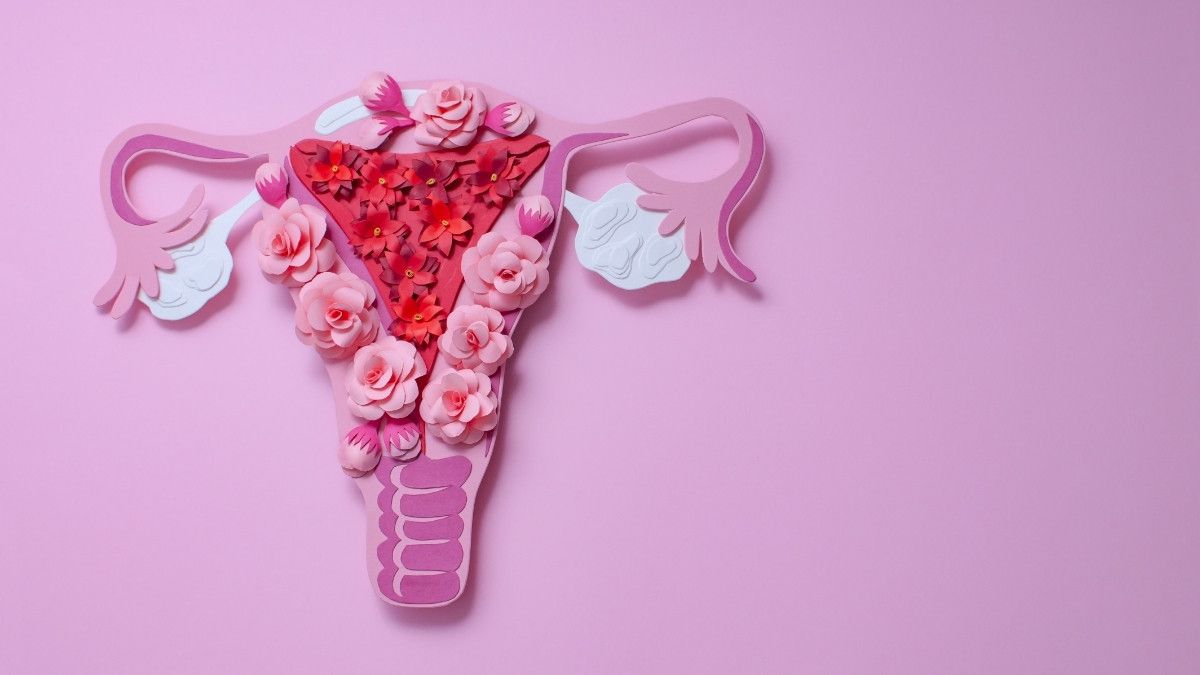 Kenali Ostium Serviks dan Fungsinya bagi Reproduksi Wanita - KlikDokter